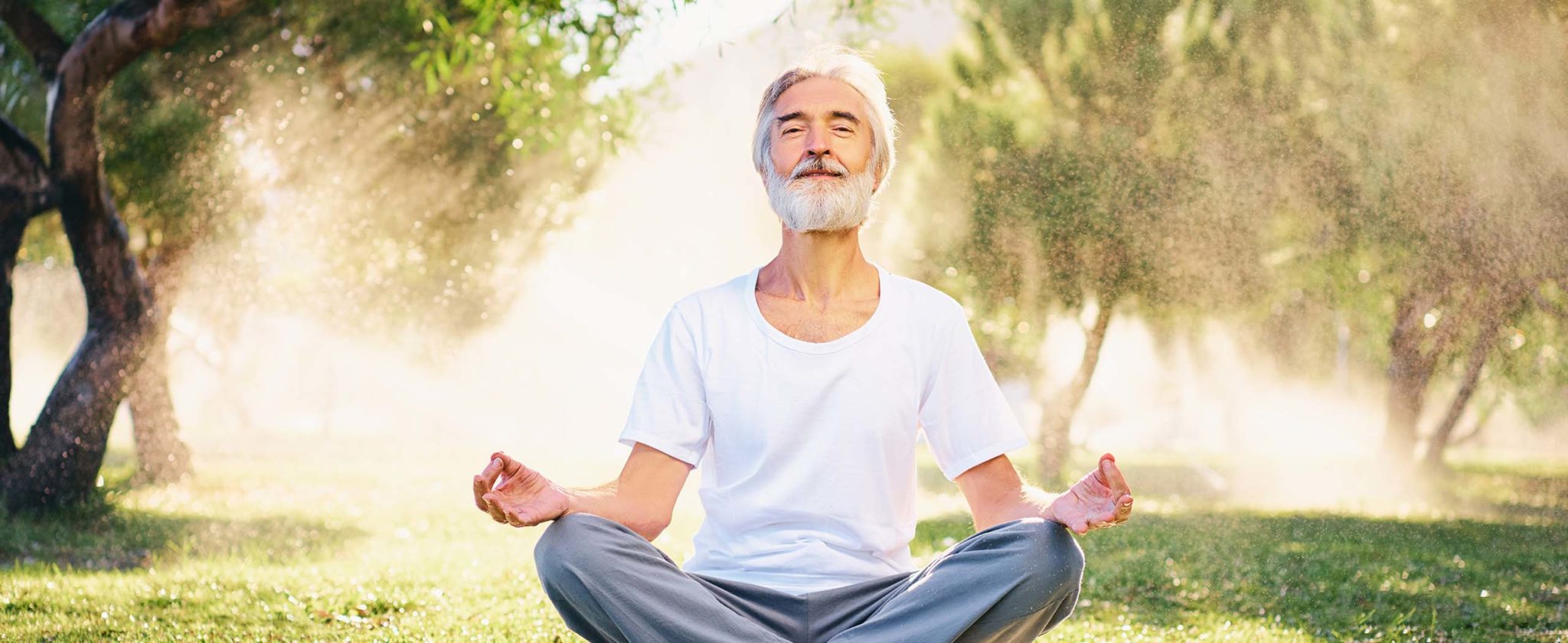 Meditation Effects - ZEN BY DESIGN